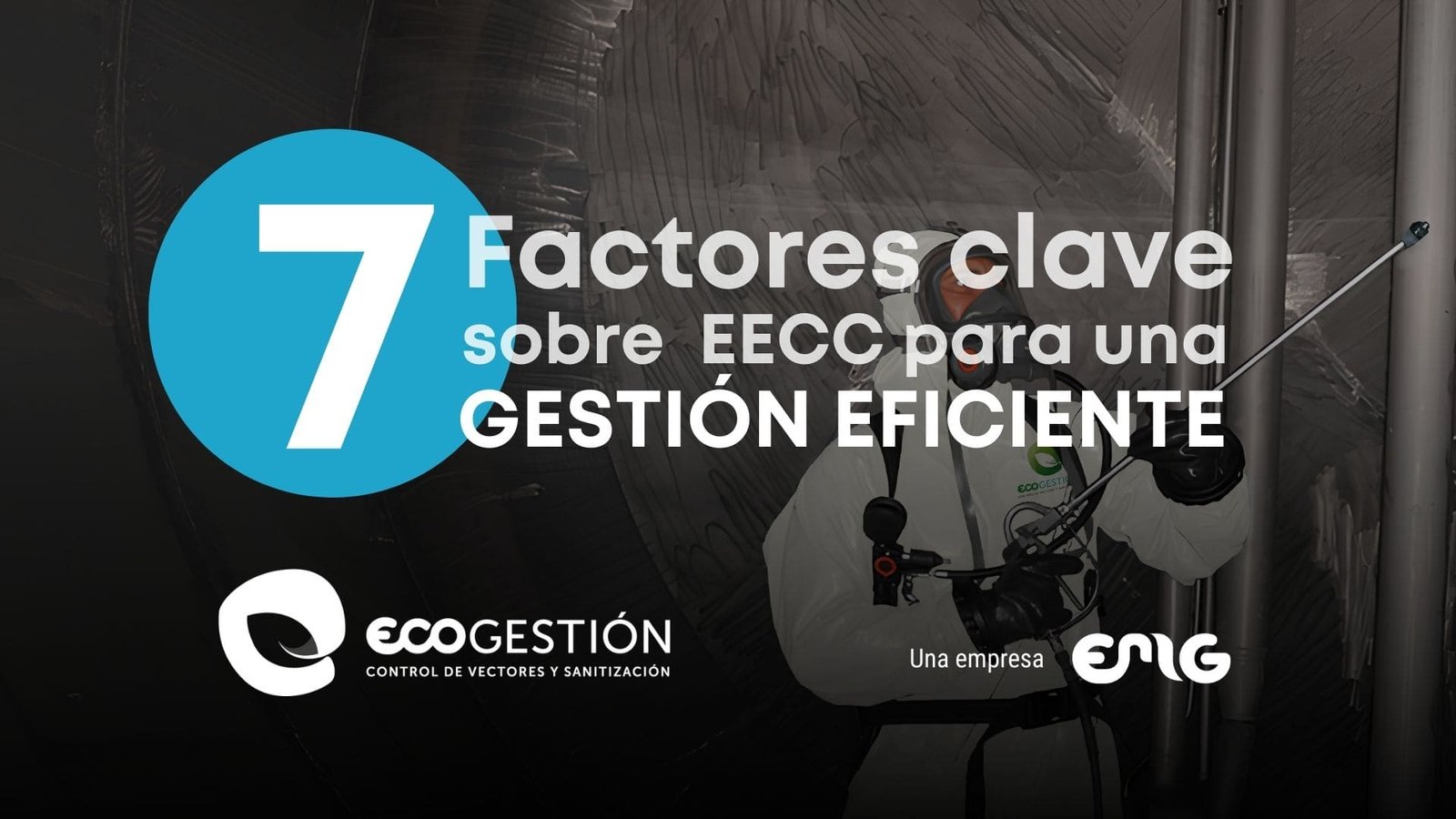 7 Factores Clave sobre EECC para una Gestión Eficiente - Ecogestión Spa